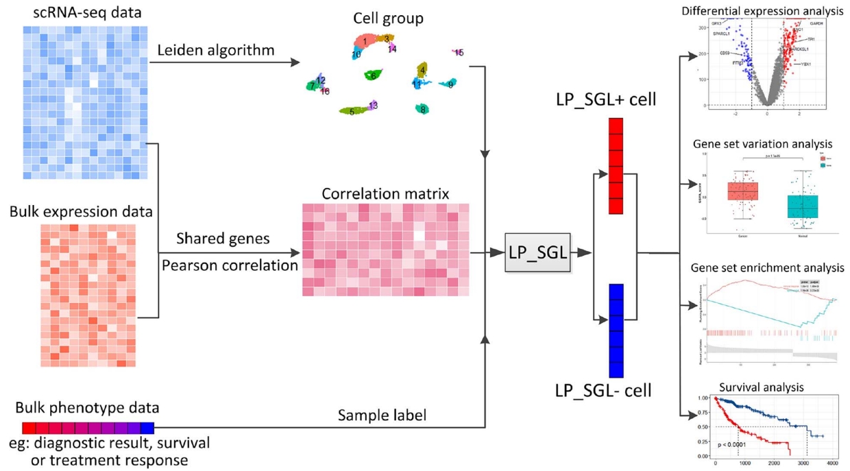 Identifying phenotype-associated subpopulations through LP_SGL | Kanglei Zhou